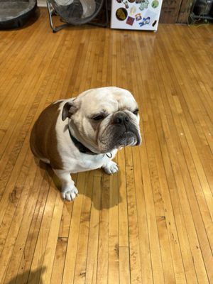 ANDERSON’S CLASSIC BARBER SHOP - Updated December 2025 - 29 Photos ...