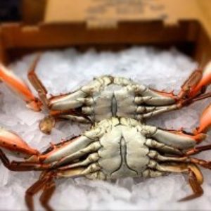 CAPTAIN SID’S SEAFOOD - Updated October 2025 - 60 Photos & 69 Reviews ...