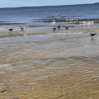 FRONT BEACH - Updated October 2025 - 99 Photos & 14 Reviews - Front ...