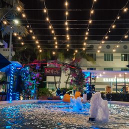 SOLA - Updated July 2025 - 622 Photos & 230 Reviews - 1000 Collins Ave ...