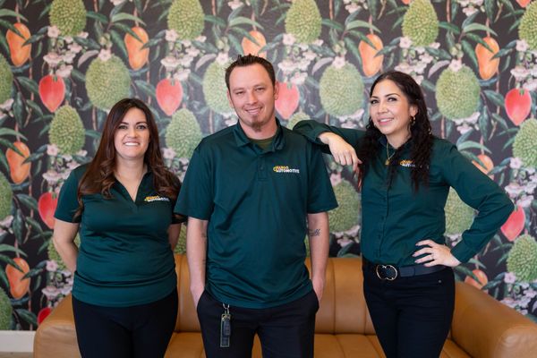 MANGO AUTOMOTIVE - Updated December 2025 - 54 Photos & 23 Reviews ...