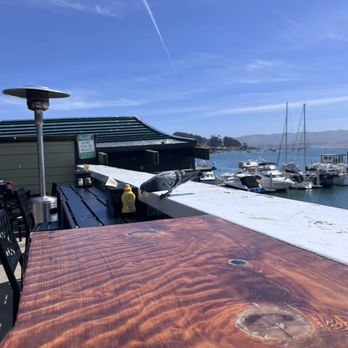 MORRO GRILL - Updated April 2025 - 163 Photos & 134 Reviews - 1215 ...