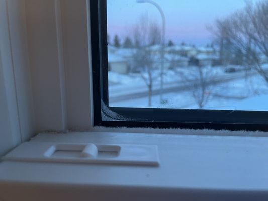 ECOLINE WINDOWS - Updated December 2025 - 93 Photos & 43 Reviews ...