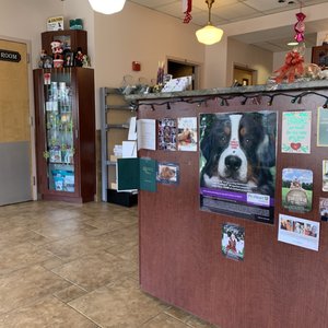 CRAWFORD ANIMAL HOSPITAL OF LYNBROOK - 41 Photos & 100 Reviews - 690 ...