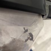 ARTERIX PEST CONTROL - 28 Photos & 138 Reviews - Rockville, Maryland ...