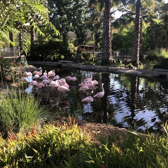 SAFARI WEST - Updated December 2024 - 3354 Photos & 1069 Reviews - 3115 ...