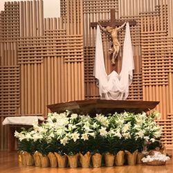 ST ELIZABETH ANN SETON CATHOLIC CHURCH - 71 Photos & 16 Reviews - 1835 ...