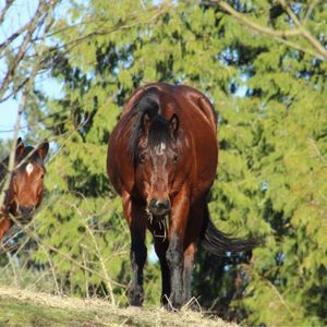 THE STILLWATER RANCH - Updated September 2024 - 14 Photos - Sultan ...