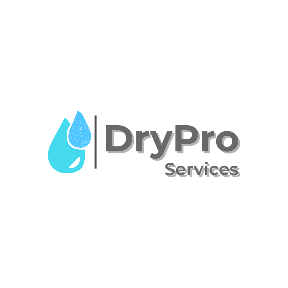 DRY PRO SERVICES - Updated July 2025 - Request a Quote - Ellabell ...