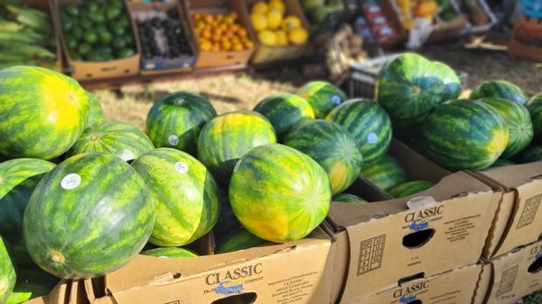 LA CHICANITA PRODUCE - Updated October 2025 - 11 S Dixie Hwy, St ...