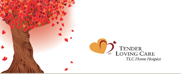 ACCESS TLC - Updated December 2025 - 15 Photos & 26 Reviews - 5401 Tech ...