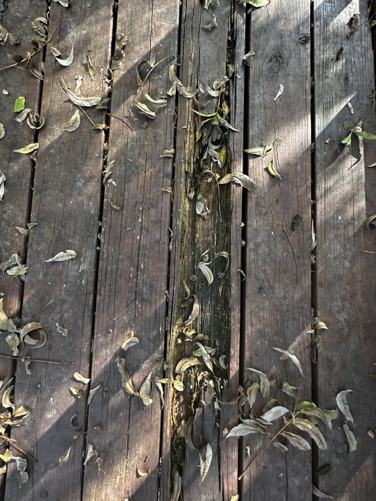 FIRSTKEY HOMES - Updated December 2024 - 214 Photos & 214 Reviews - 899 ...