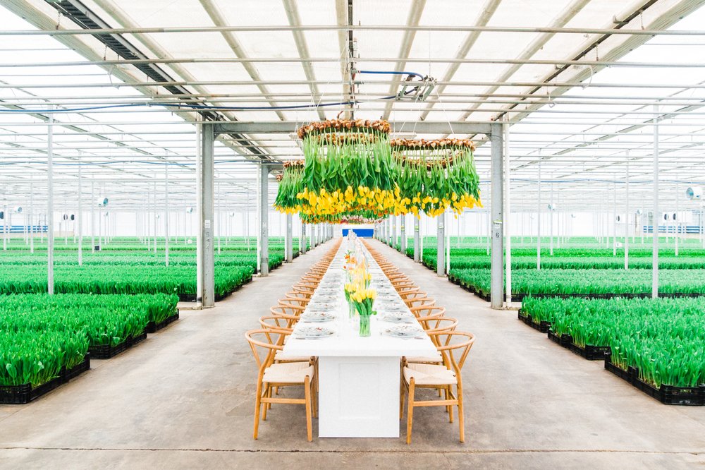 BLOOMIA USA - 2259 Kings Hwy, King George, Virginia - Flowers & Gifts ...