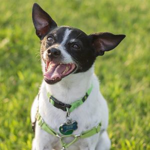 Buckmaster Pond - 11 Photos - Lakes - 350 Pond St, Westwood, MA - Yelp