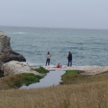 POINT ARENA-STORNETTA PUBLIC LANDS - Updated July 2025 - 114 Photos ...