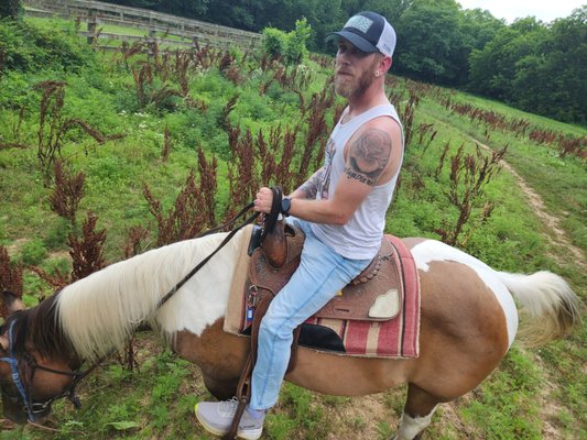 WILD ROSE EQUINE CENTER - 44 Photos & 18 Reviews - 17105 Old Pike Rd ...