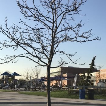 NORTH THORNHILL COMMUNITY CENTRE - Updated December 2025 - 22 Photos ...