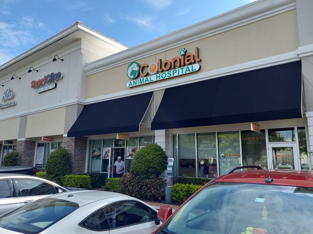 COLONIAL ANIMAL HOSPITAL - Updated October 2025 - 50 Photos & 147 ...