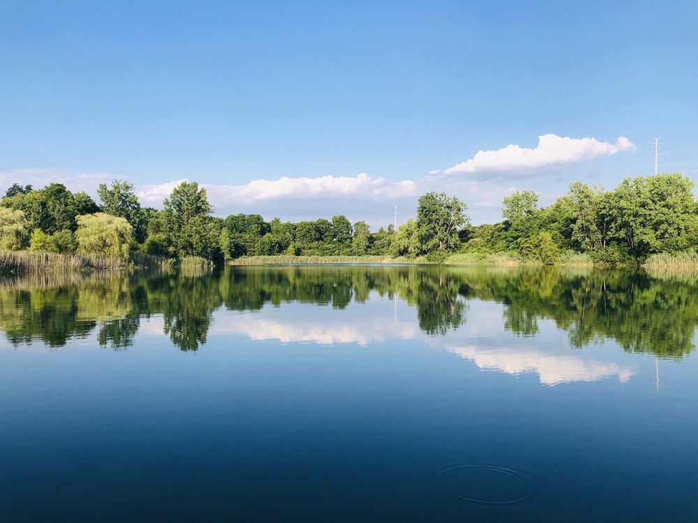 LILLIE PARK - Updated August 2024 - 51 Photos & 13 Reviews - 4200 Platt ...