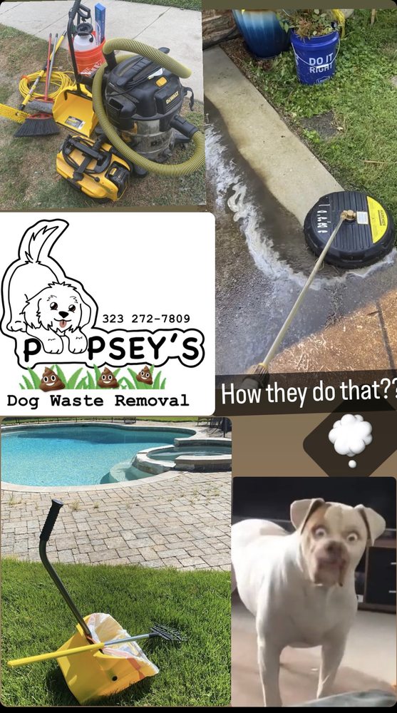 POOPSEY’S DOG WASTE REMOVAL - Updated September 2024 - Los Angeles ...