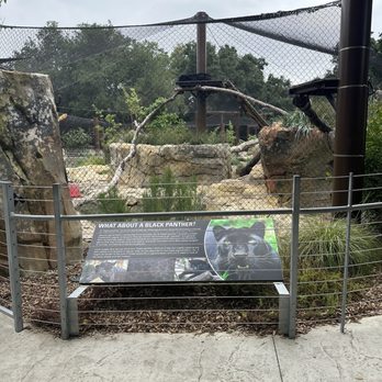 ORANGE COUNTY ZOO - 1262 Photos & 362 Reviews - 1 Irvine Park Rd ...