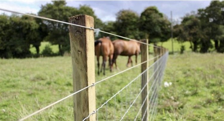 GBC FENCING - Updated March 2025 - Request a Quote - Kurtistown, Hawaii ...