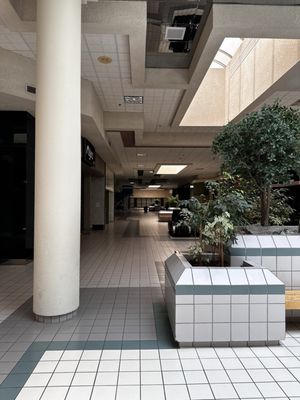 THREE RIVERS MALL - Updated August 2025 - 21 Photos & 31 Reviews - 351 ...