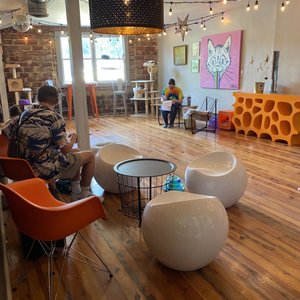 MAC TABBY CAT CAFE - 246 Photos & 105 Reviews - Themed Cafes - 3204 N ...