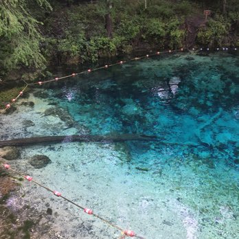 FANNING SPRINGS STATE PARK - Updated March 2025 - 126 Photos & 23 ...