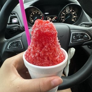 RED’S SNOW WAGON & MORE - 136 Photos & 163 Reviews - 1309 Almeda-Genoa ...