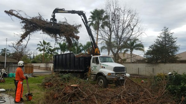 RANCHO TREE SERVICE - Updated October 2025 - 41 Photos & 43 Reviews ...