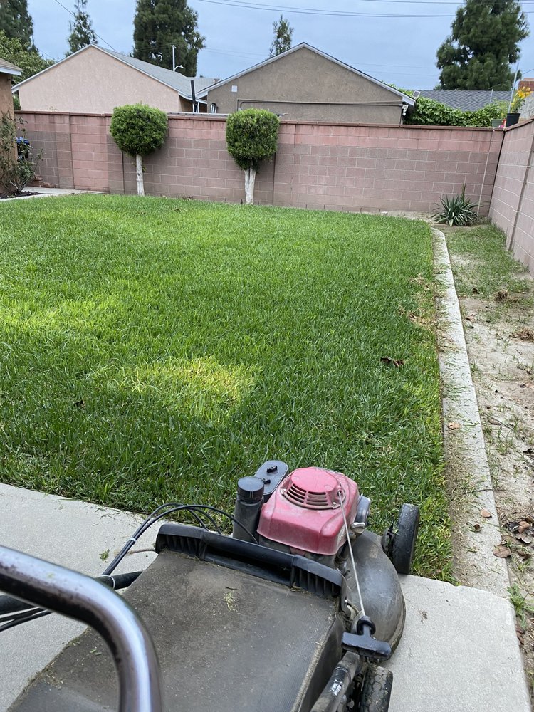 ALPHA LAWN CARE - Updated December 2025 - 23 Photos & 10 Reviews - El ...