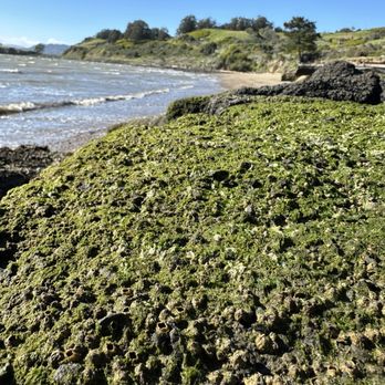 POINT MOLATE - Updated October 2025 - 101 Photos & 19 Reviews ...