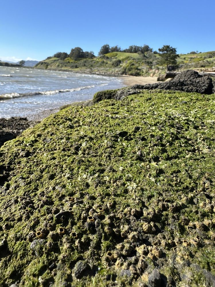 POINT MOLATE - Updated October 2025 - 101 Photos & 19 Reviews ...