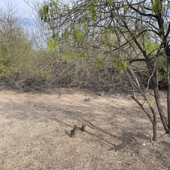 RIPARIAN PRESERVE AT WATER RANCH - Updated December 2025 - 745 Photos ...