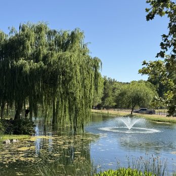 DA RANCH - Updated September 2025 - 340 Photos & 140 Reviews - 1901 N ...