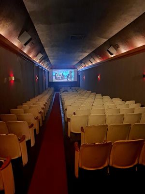 MANLIUS CINEMA - Updated December 2025 - 18 Photos & 29 Reviews - 135 E ...