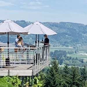 CHEHALEM WINERY - Updated July 2024 - 29 Photos - 31190 NE Veritas Ln ...