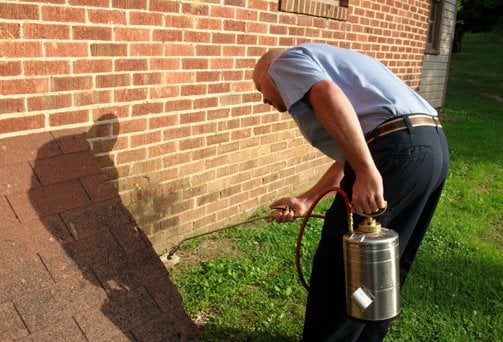 CLINT MILLER EXTERMINATING - Updated December 2025 - 13 Reviews - 8655 ...