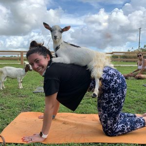 PINTO’S FARM - 398 Photos & 130 Reviews - 14890 SW 216th St, Miami, FL ...