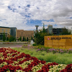 JOHN MUIR HEALTH - Updated August 2025 - 68 Photos & 203 Reviews - 2540 ...