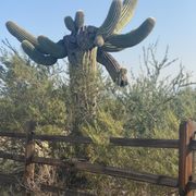 EAGLE VIEW RV RESORT - 141 Photos & 37 Reviews - 9605 N Fort McDowell ...