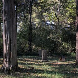 THE 10 BEST Things to Do in Sparta, MS - 2025 - Yelp