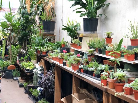 NOBLE PLANTS - 44 Photos & 87 Reviews - Nurseries & Gardening - 106-A W ...