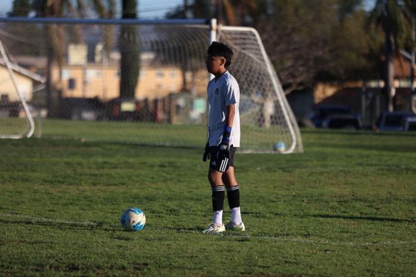 RED LIONS FC - Updated January 2026 - 32 Photos - 201 N Willow Ave ...