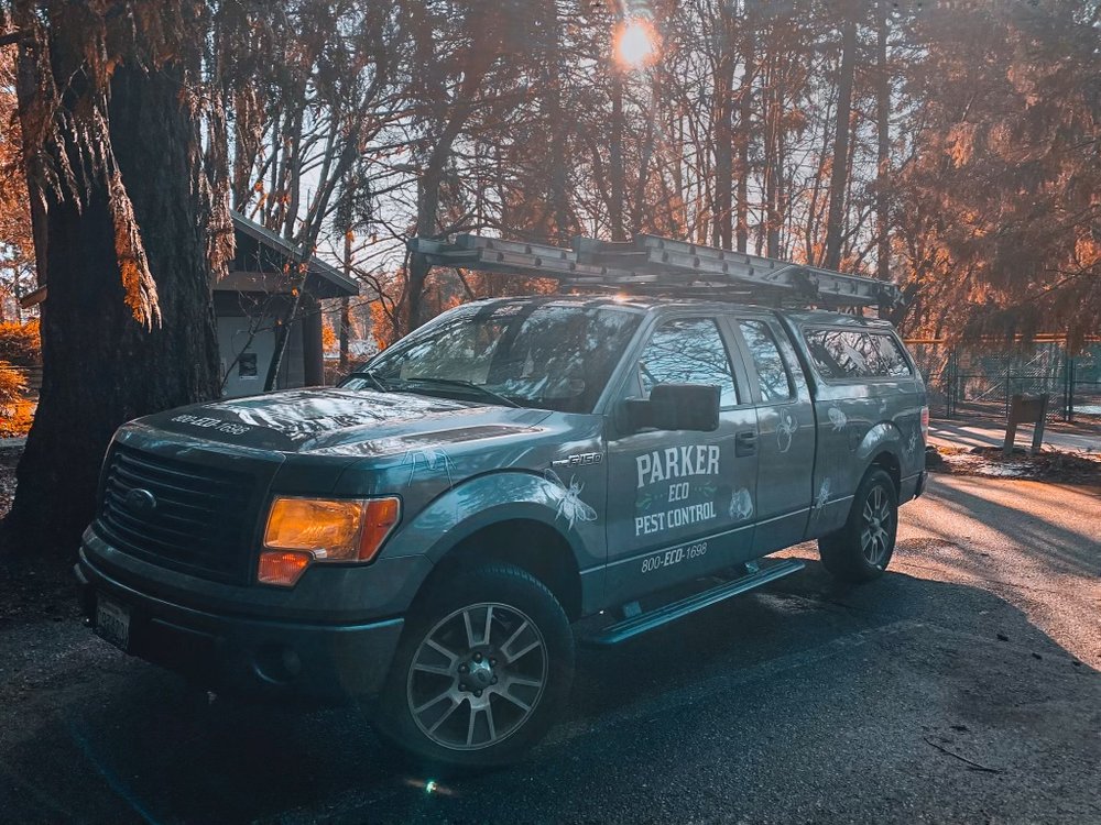 PARKER ECO PEST CONTROL - Updated November 2024 - 28 Photos - 432 W ...