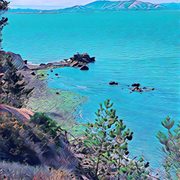 COYOTE POINT RECREATION AREA - 640 Photos & 228 Reviews - 1701 Coyote ...