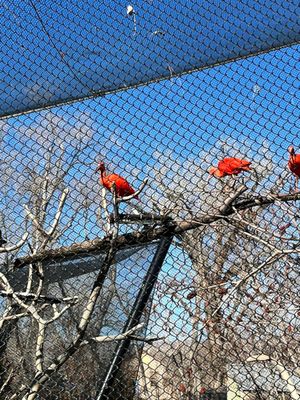 TRACY AVIARY - Updated December 2025 - 556 Photos & 198 Reviews - 589 E ...