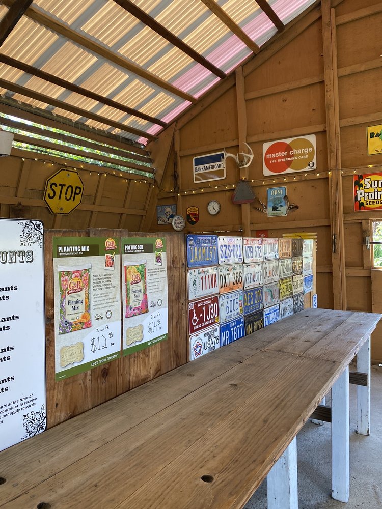 CALAVERAS NURSERY - Updated December 2025 - 121 Photos & 63 Reviews ...