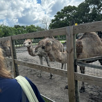 ANIMAL EDVENTURE PARK & SAFARI - Updated February 2025 - 465 Photos ...